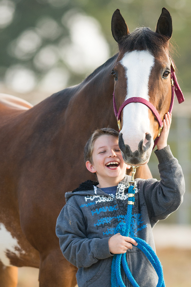 All About Paint Horses - Young Rider Magazine