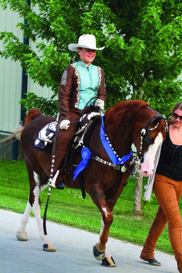 Perfect Horse Show Turnout - Young Rider Magazine