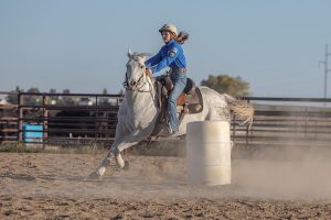 Barrel Racing Drills to Improve Your Pattern - Young Rider Magazine