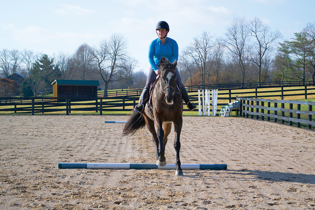 Canter Exercises for Adjustability - Young Rider Magazine