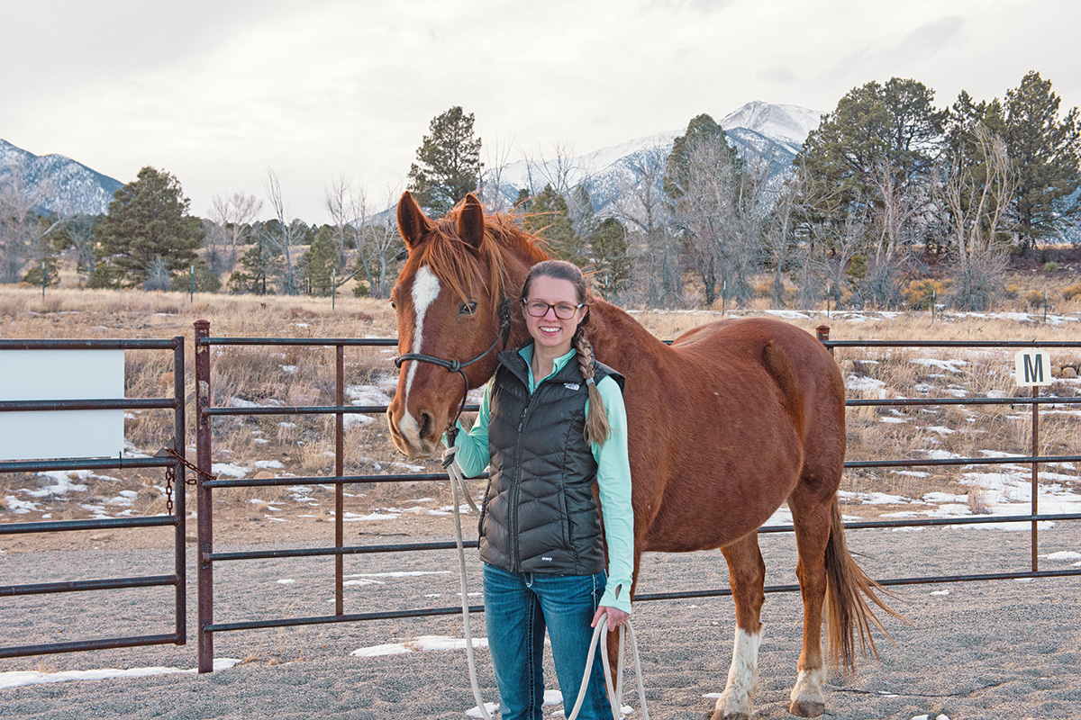 Horse Career: Equine Chiropractor - Young Rider Magazine Horse Career: Equine Chiropractor - Young Rider Magazine