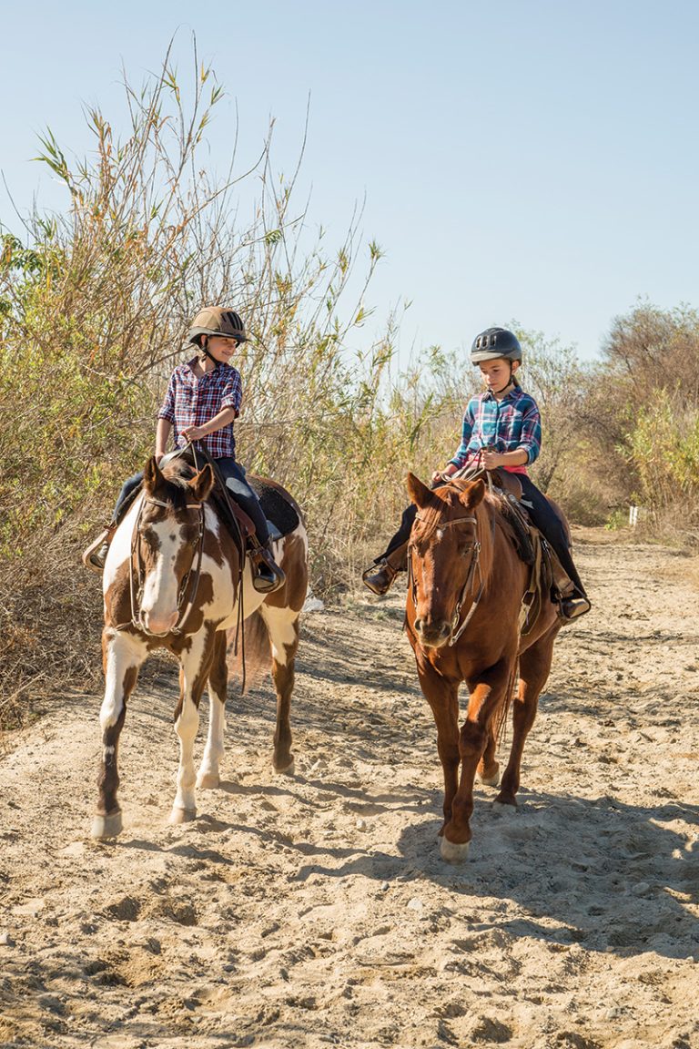 How to Make Barn Friends - Young Rider Magazine