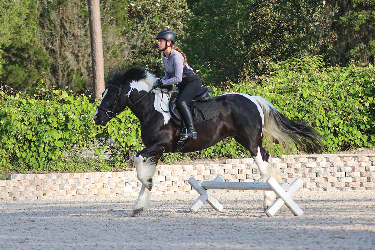 Two Ways to Ride a Bending Line - Young Rider Magazine