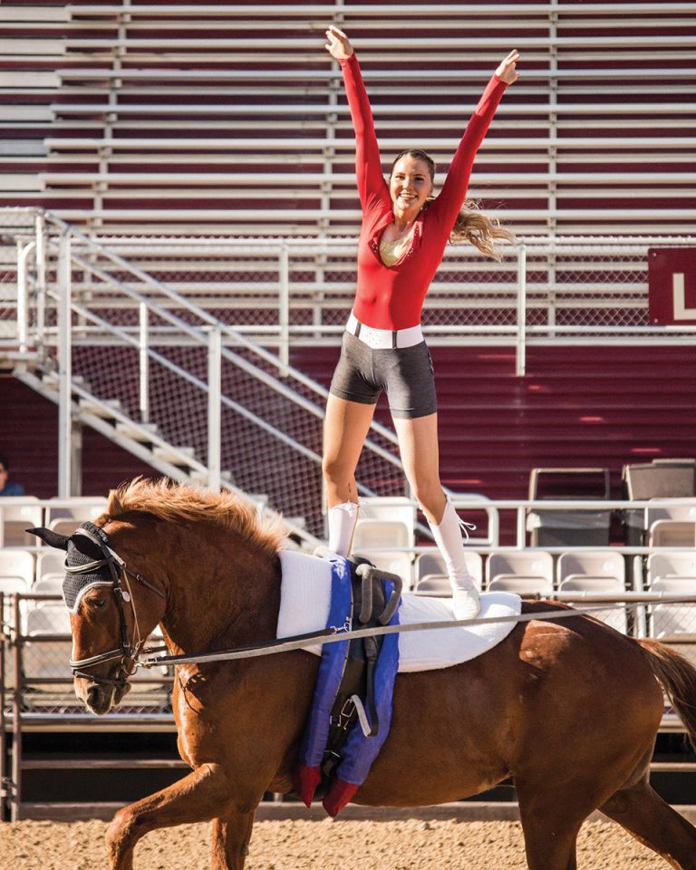 All About Vaulting - Young Rider Magazine