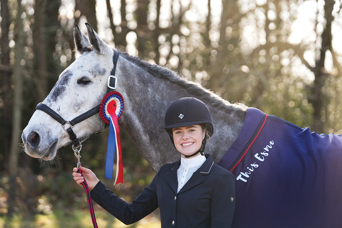 Meet the Marwari Horse - Young Rider Magazine