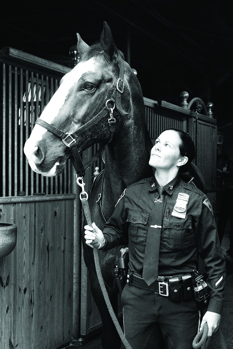 Police on Horseback - Young Rider Magazine
