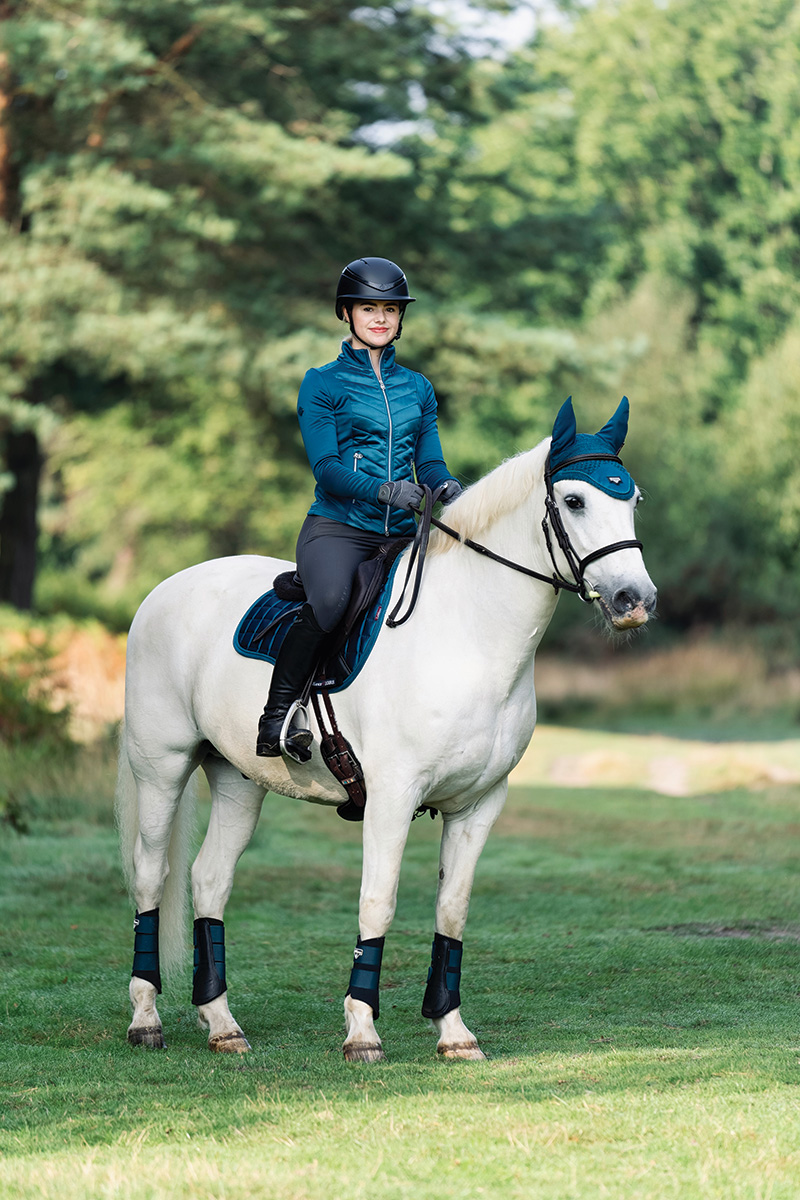 How to Clean a Muddy Horse - This Esme Tips
