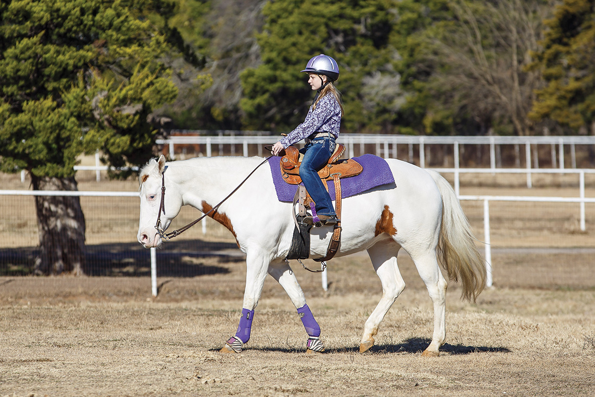 The Extended Western Gaits - Young Rider Magazine