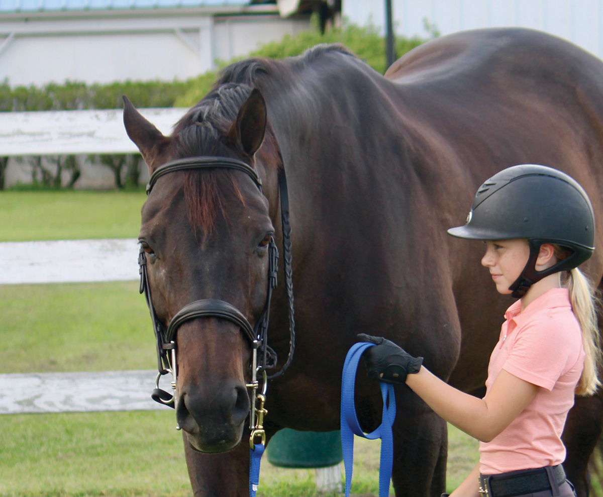 Longeing a Horse 101 - Young Rider Magazine
