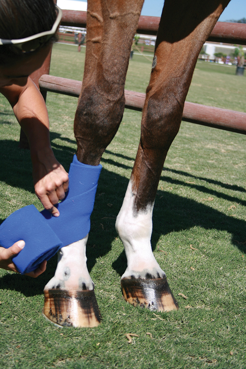 How to Perfect Your Polo Wraps - Young Rider Magazine