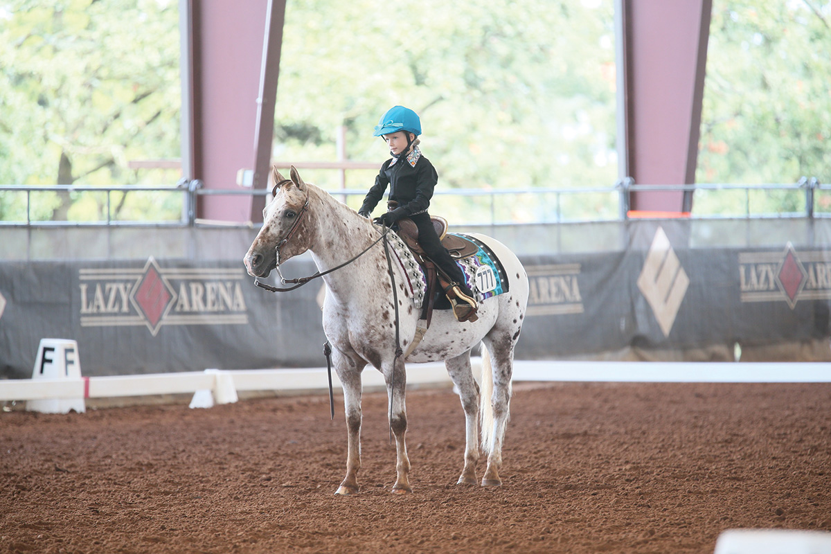 Western Dressage Overview - Young Rider Magazine