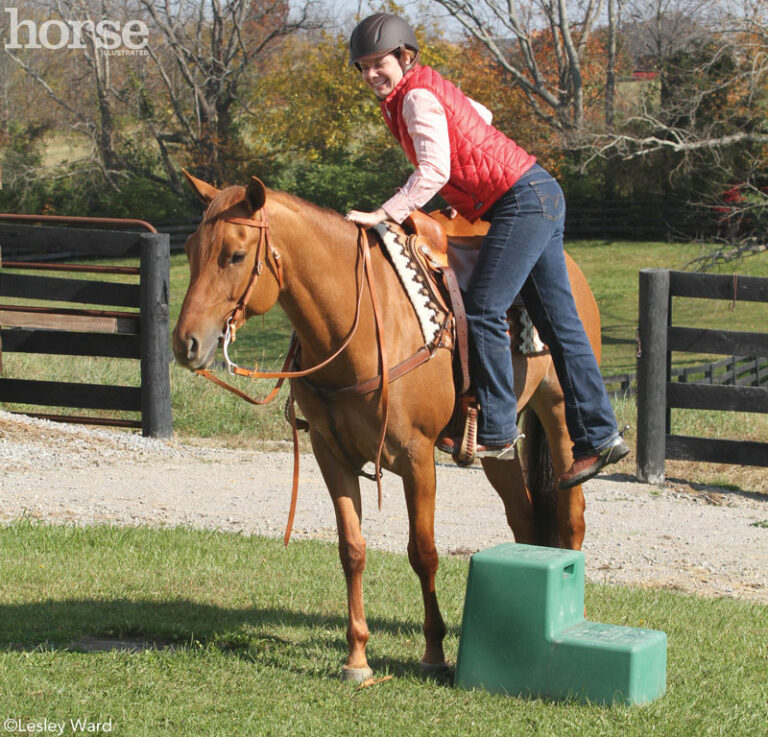 Teach Your Horse to Stand Still For Mounting - Horse Illustrated