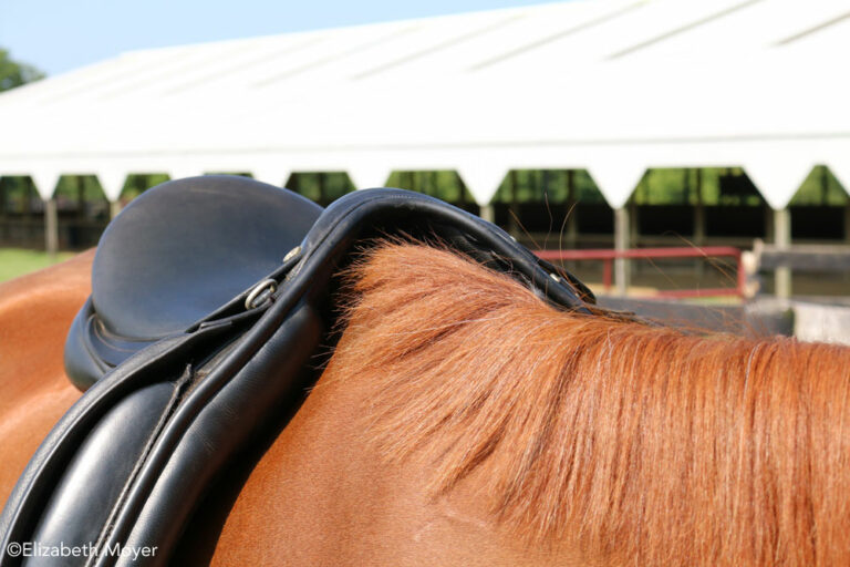YR: Learn How to Fit an English Saddle - Young Rider