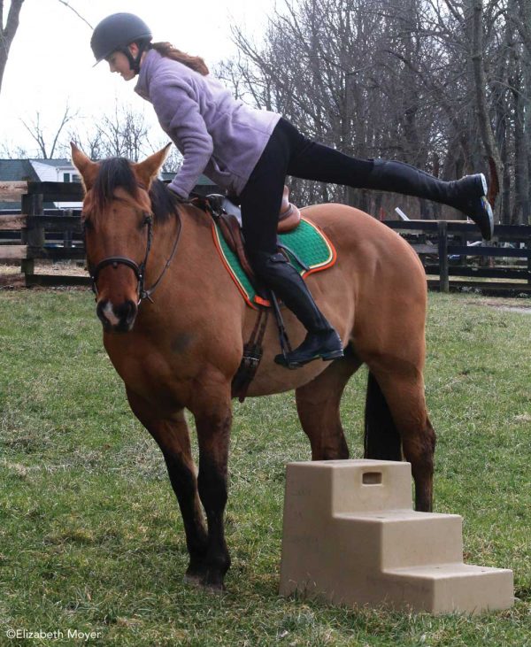 How to Mount and Dismount a Horse - Young Rider Magazine