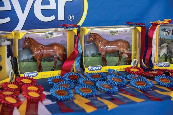 Get Ready for Your First Model Horse Show - Young Rider