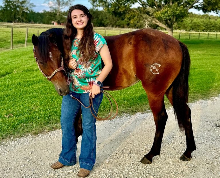 AQHA Young Horse Development Program Awards Scholarships