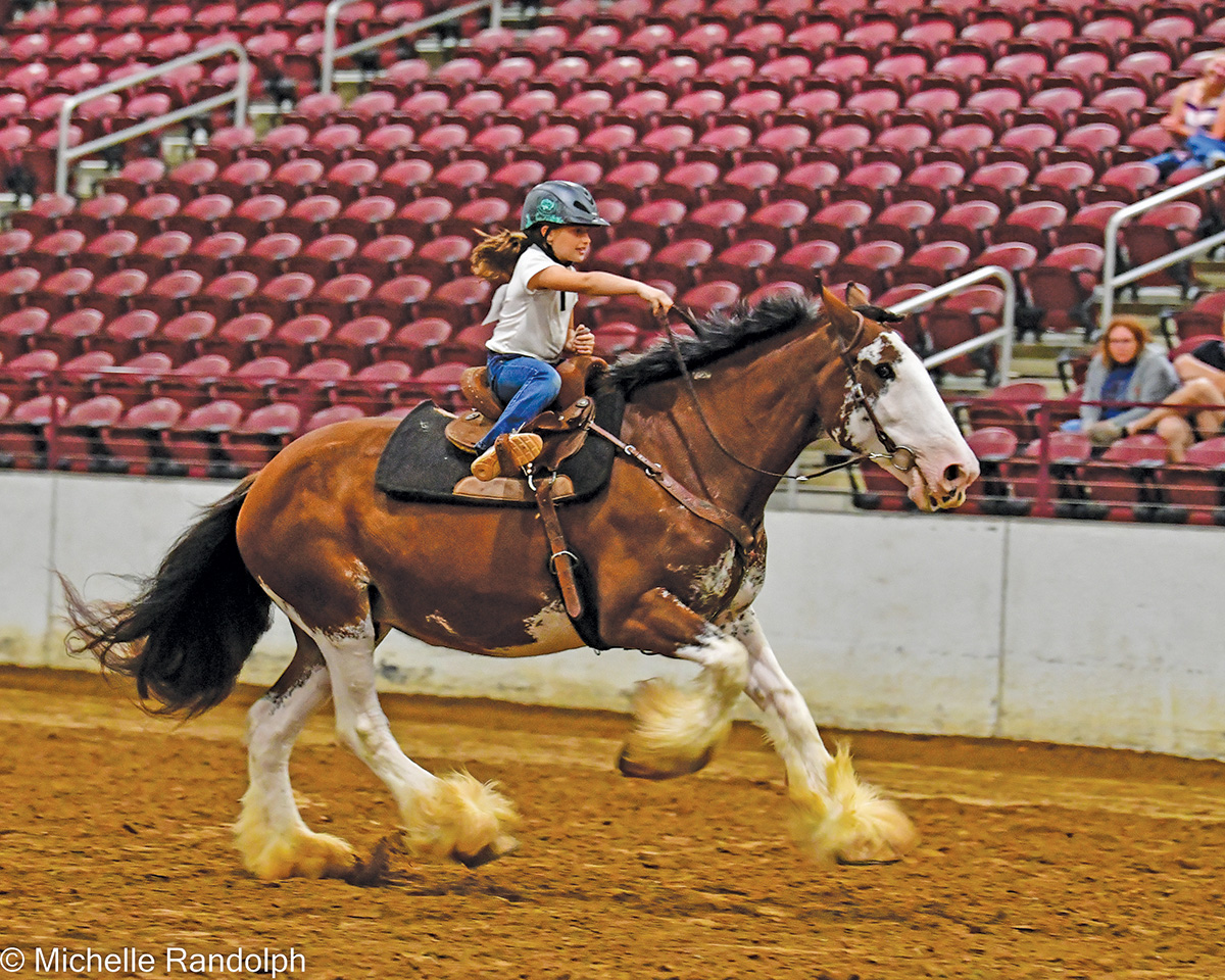 The Clydesdale Horse - Young Rider Magazine