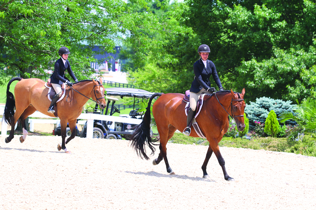 Show Your Skills in Hunter Hack - Young Rider Magazine