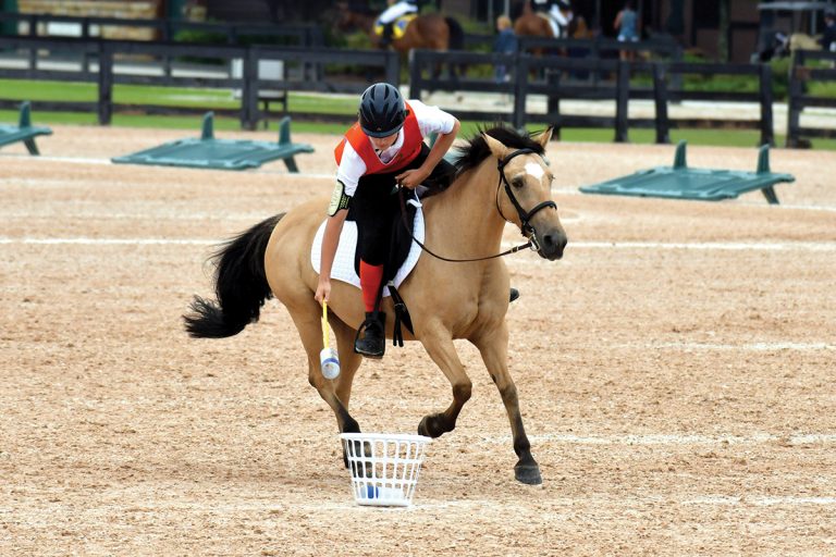 Why Should You Join Pony Club? - Young Rider Magazine