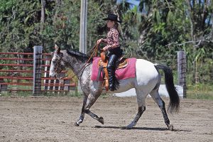 Meet the Pony of the Americas, AKA the POA - Young Rider Magazine