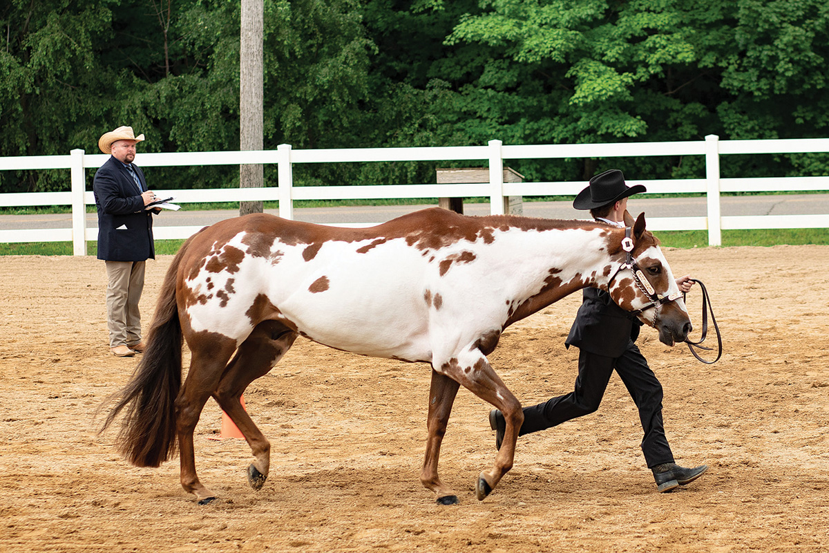 Being a Male Equestrian - Young Rider Magazine