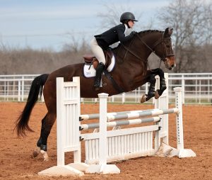 Young Rider Magazine - For Kids Who Love Horses and Ponies