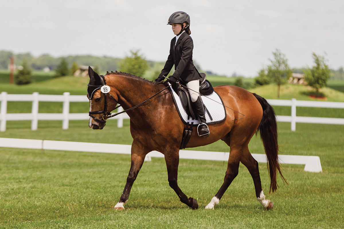 Dressage for Everyone - Young Rider Magazine