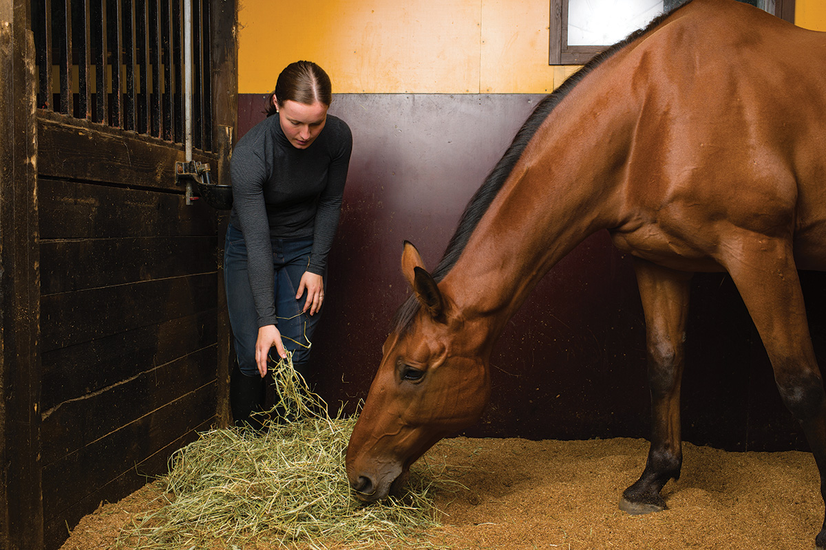 Colic in Horses: How to Spot it and Treat It - Young Rider Magazine