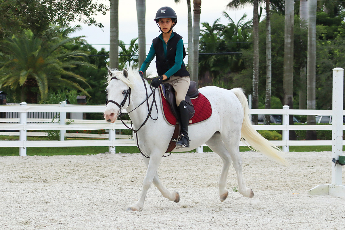 All-in-One Jumping Exercise - Young Rider Magazine