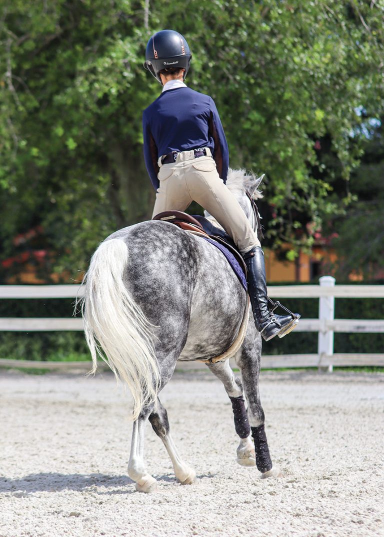 How to Perfect Your Lead Changes - Young Rider Magazine