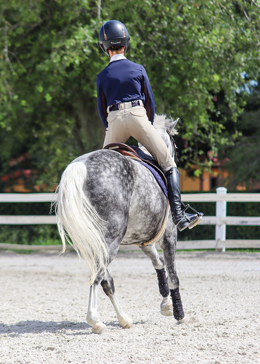 How to Perfect Your Lead Changes - Young Rider Magazine