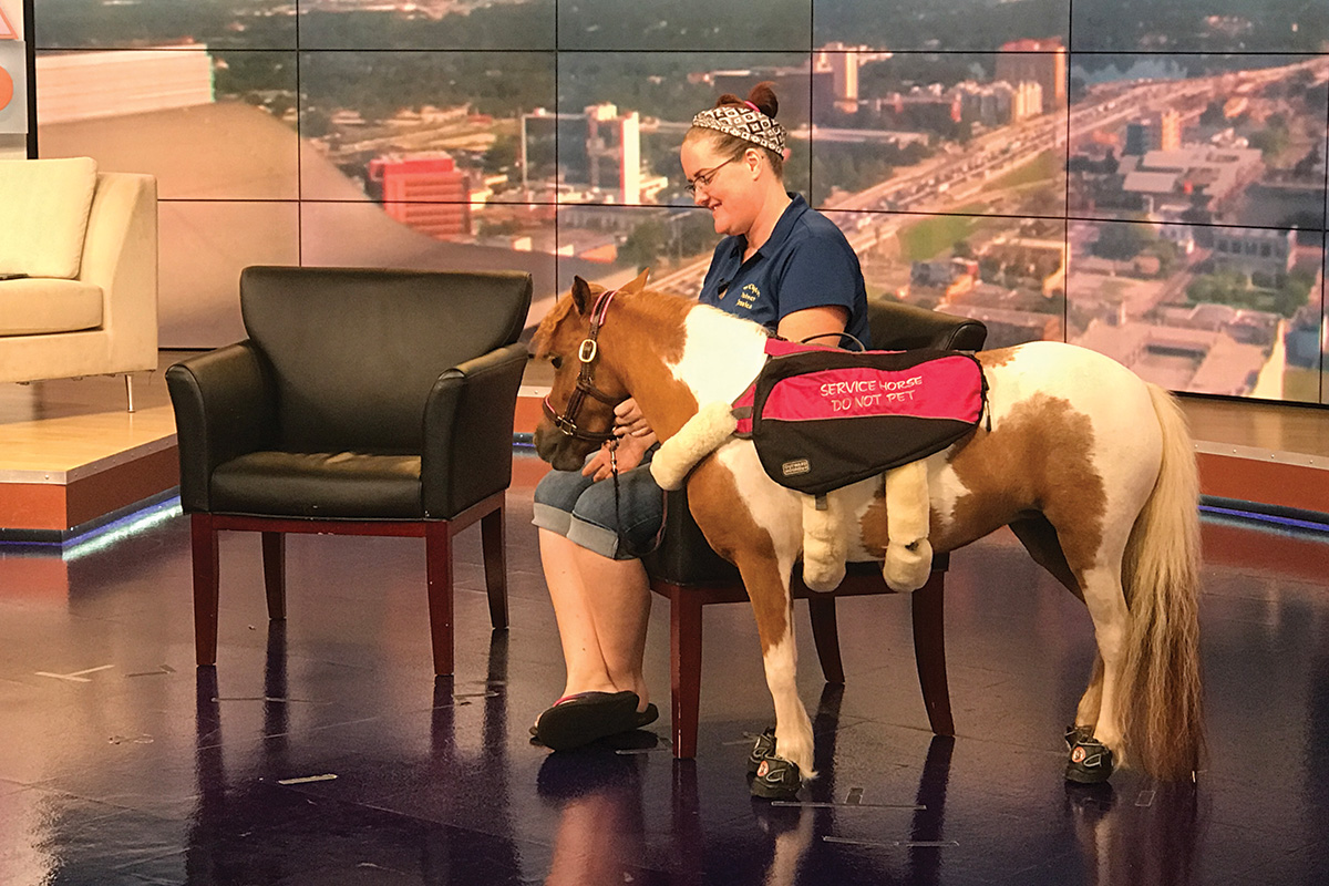 Mini Horses as Service Animals - Young Rider Magazine