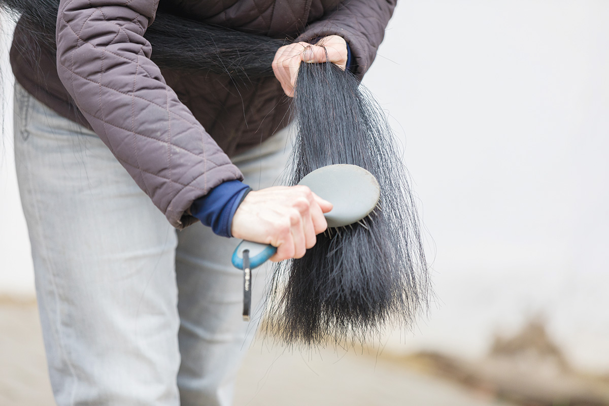 How to Groom Your Horse's Tail - Young Rider Magazine
