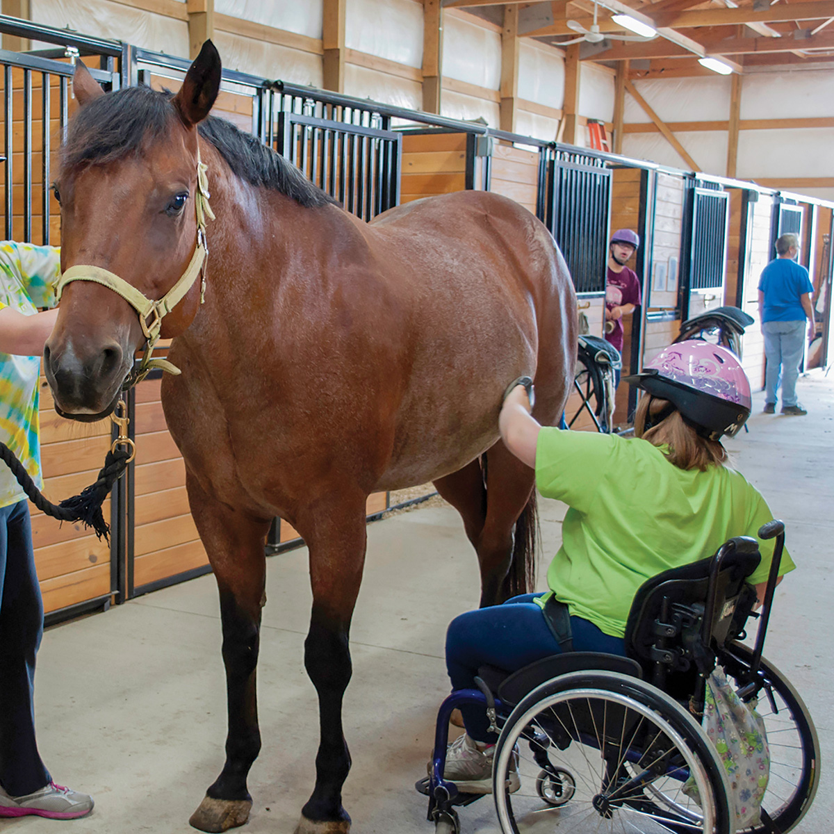 Therapeutic Riding Horses - Young Rider Magazine