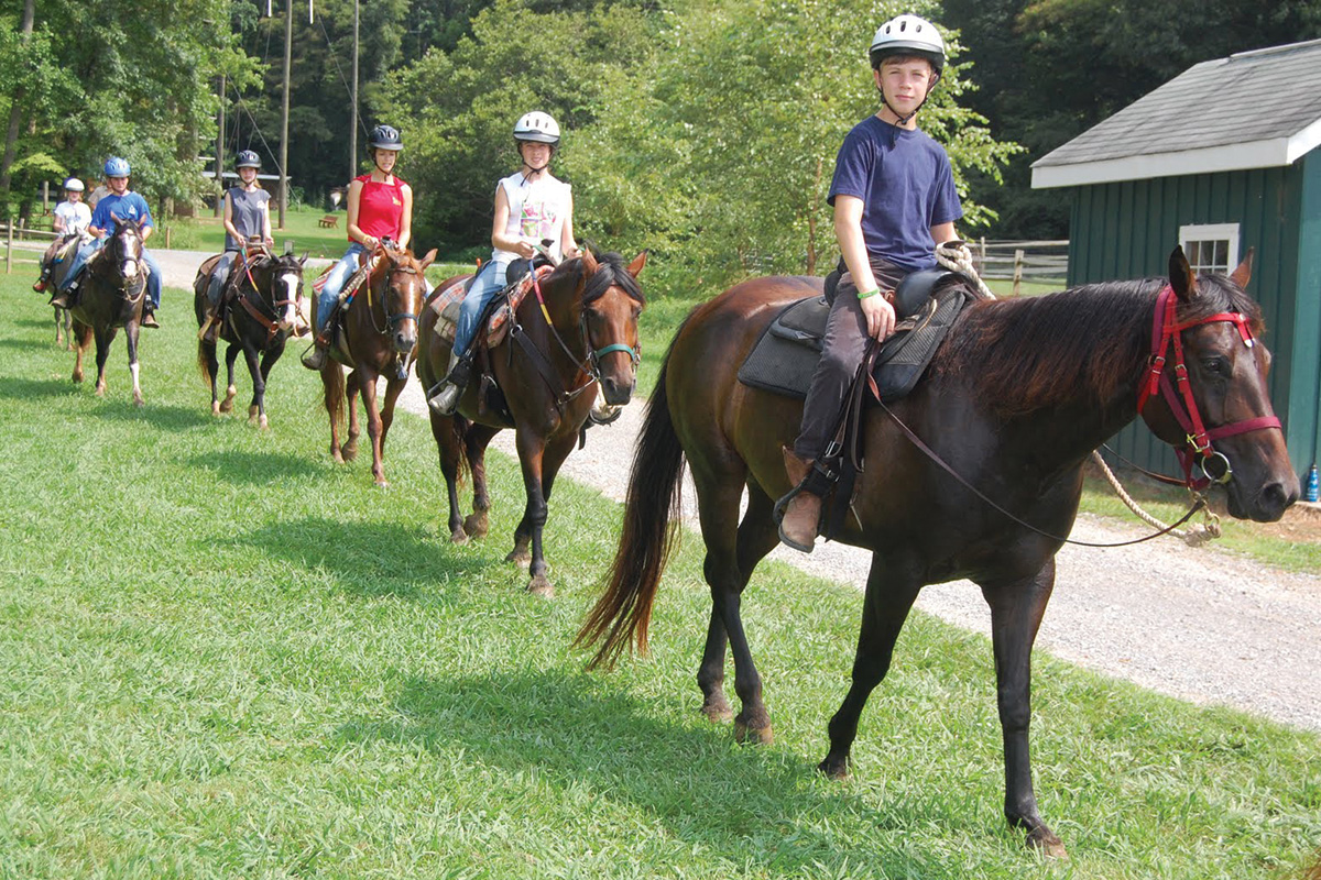 Why You Should Go to Horse Camp - Young Rider Magazine