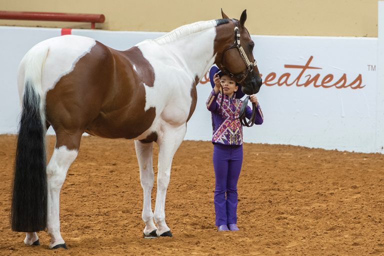 All About Paint Horses - Young Rider Magazine