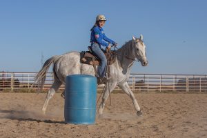 Barrel Racing Drills to Improve Your Pattern - Young Rider Magazine