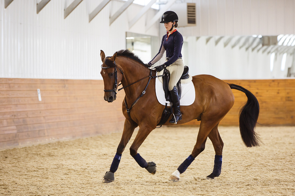 Dressage for Everyone - Young Rider Magazine