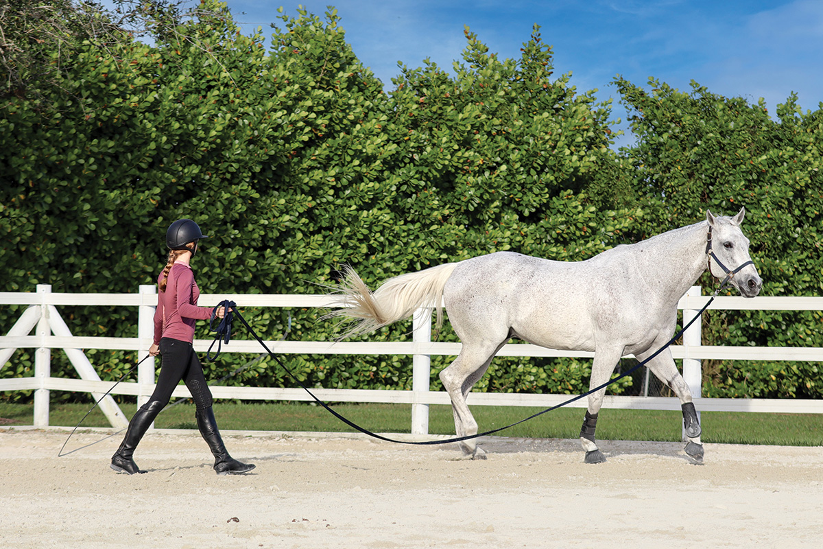 How to Longe a Horse - Young Rider Magazine