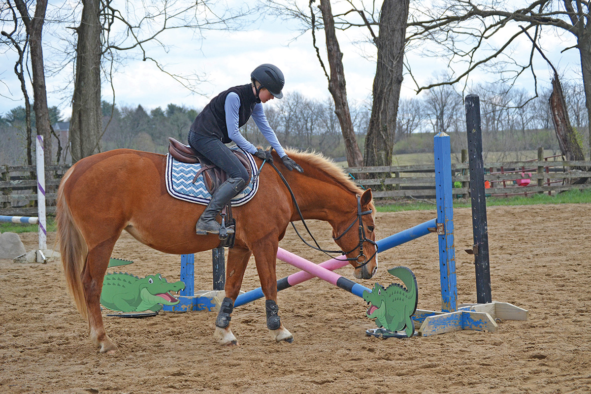 Jumping a Nervous Horse - Young Rider Magazine