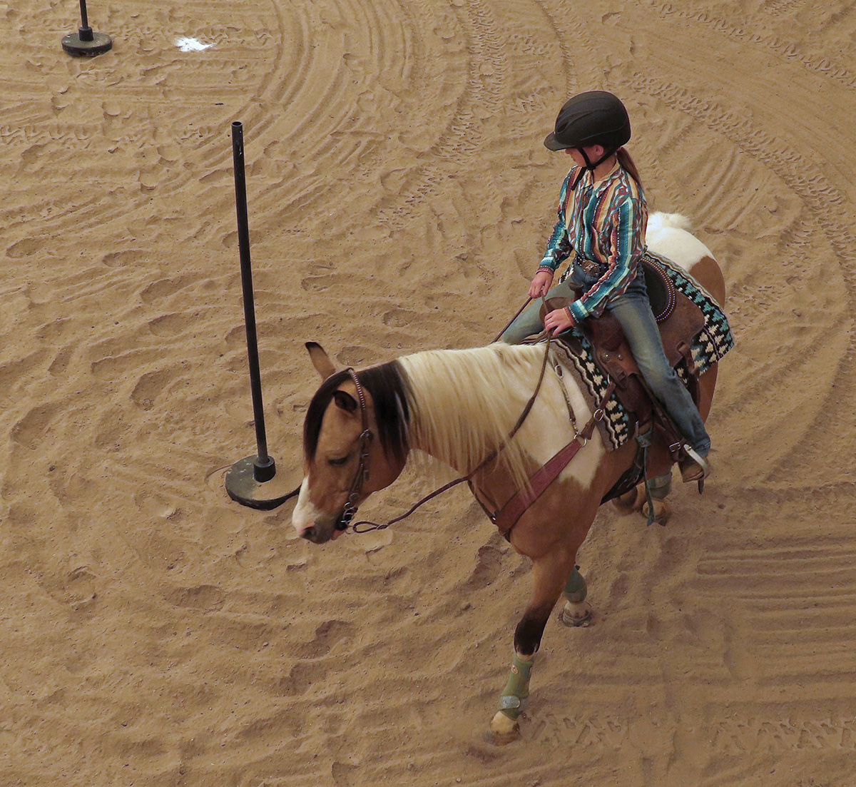 Pole Bending Overview - Young Rider Magazine