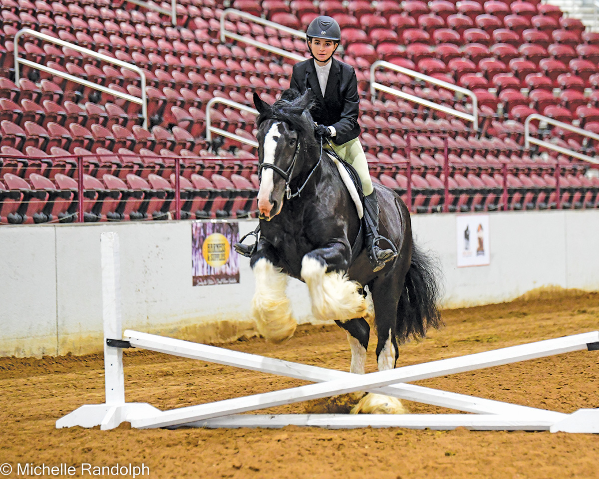The Clydesdale Horse - Young Rider Magazine
