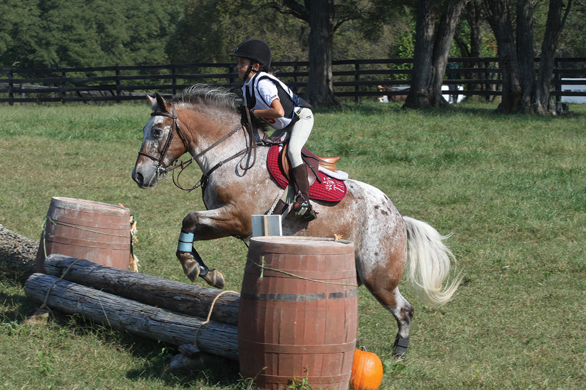 How to Get Started in Eventing - Young Rider Magazine