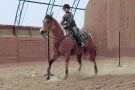 Pole Bending Overview - Young Rider Magazine