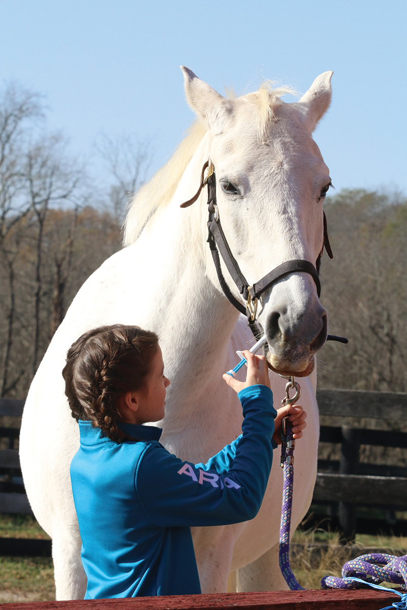 Spring Wellness Exam for Your Horse - Young Rider Magazine