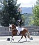 All About Vaulting - Young Rider Magazine
