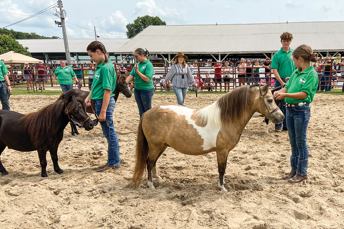 All About Miniature Horses - Young Rider Magazine