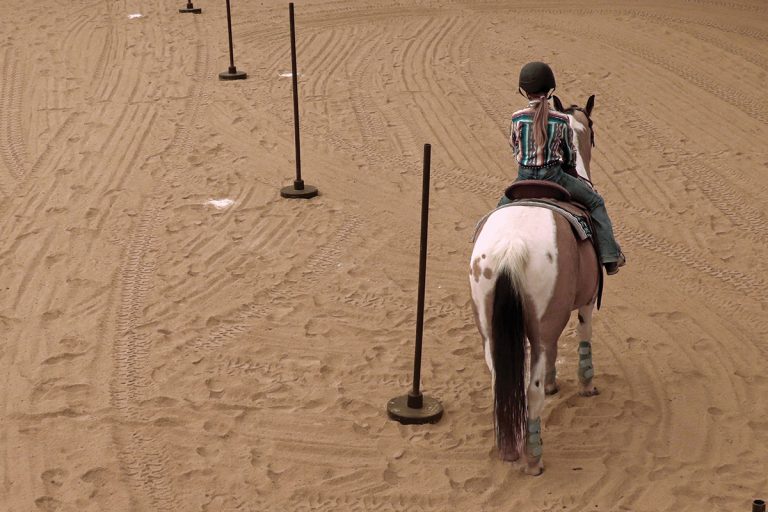 Pole Bending Overview - Young Rider Magazine