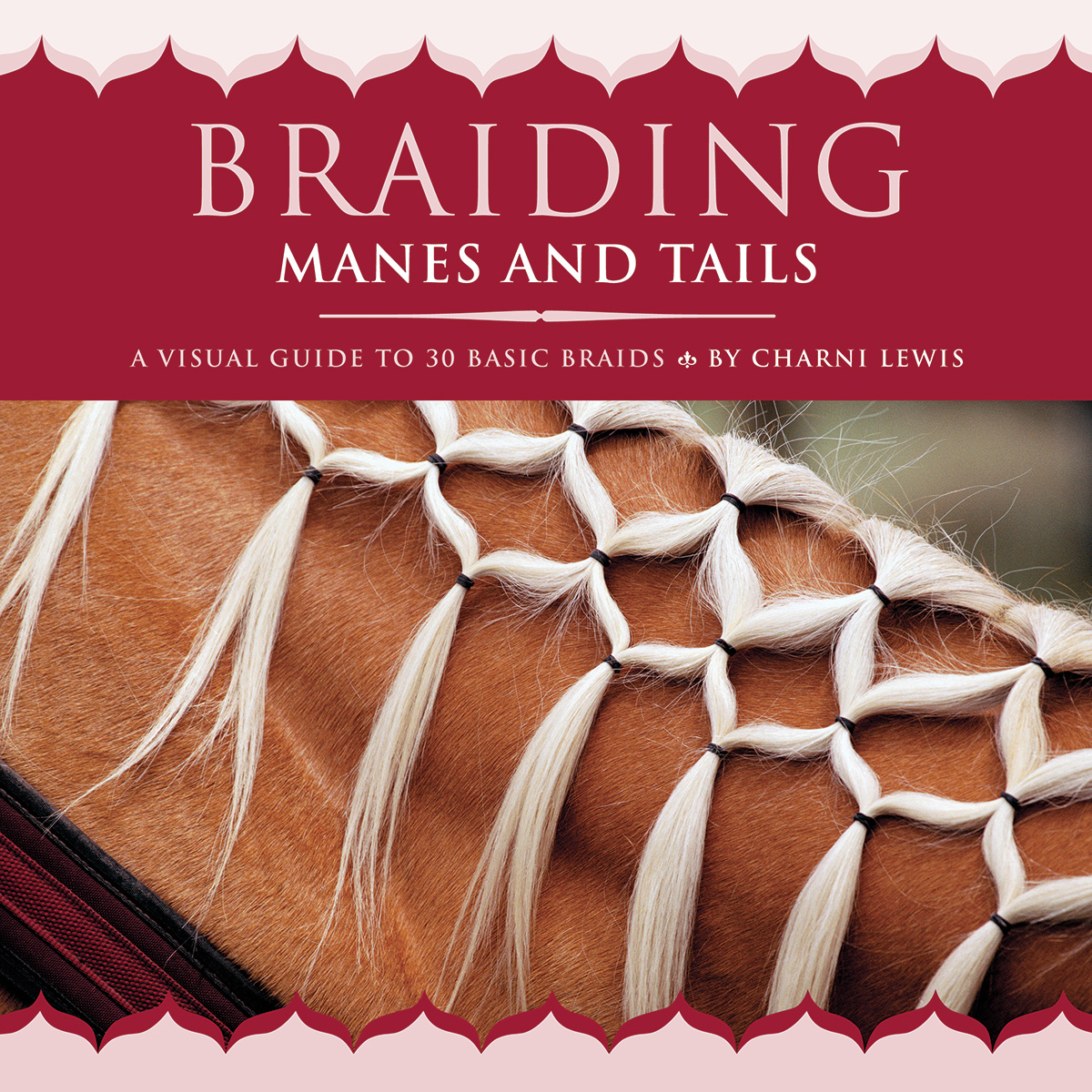 How to Do a Running Braid for Long Manes - Young Rider Magazine