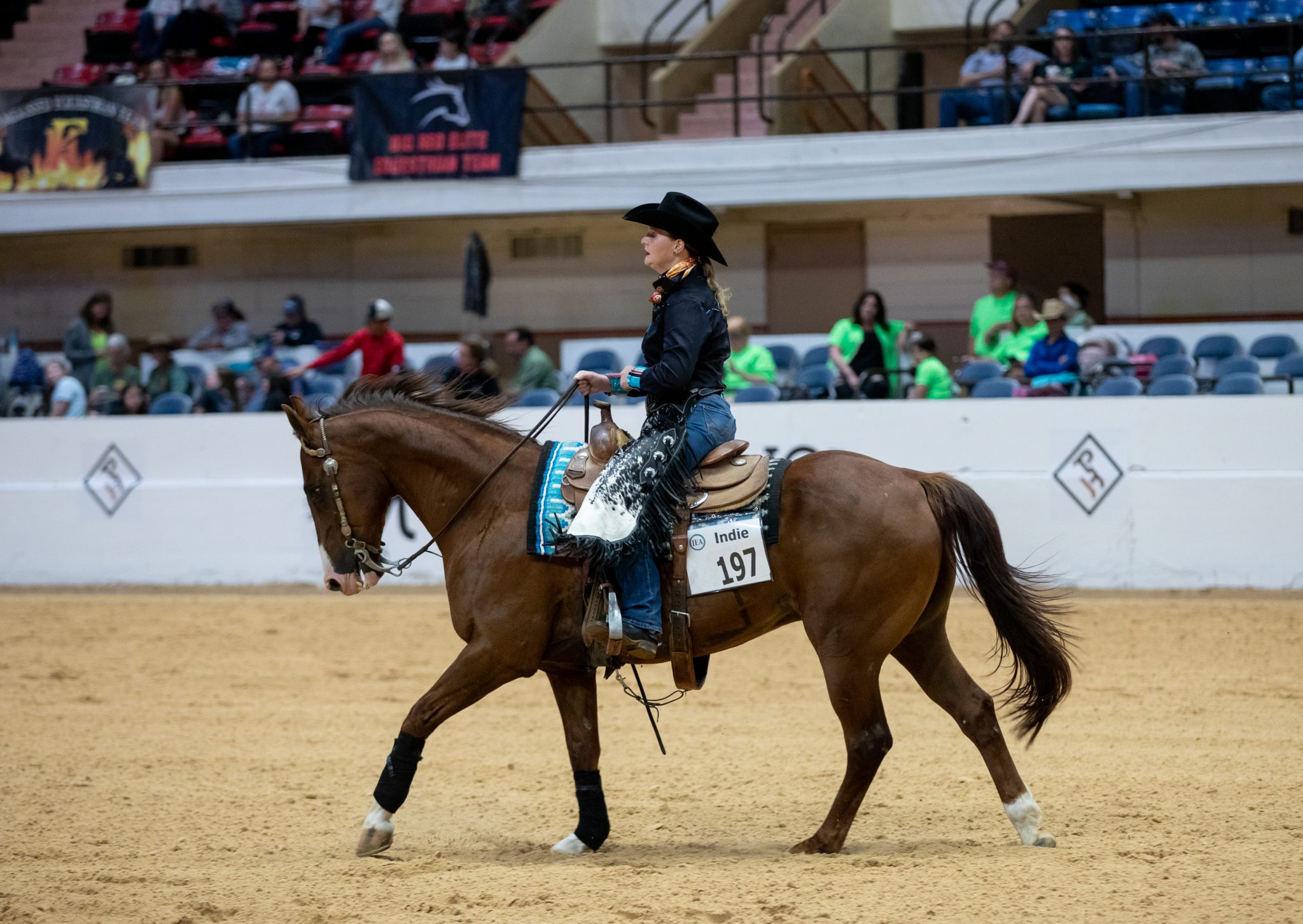 IEA Launches Founders Day GIVE Campaign - Young Rider Magazine